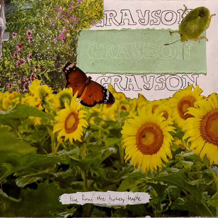 Grayson - Live | cameron lane