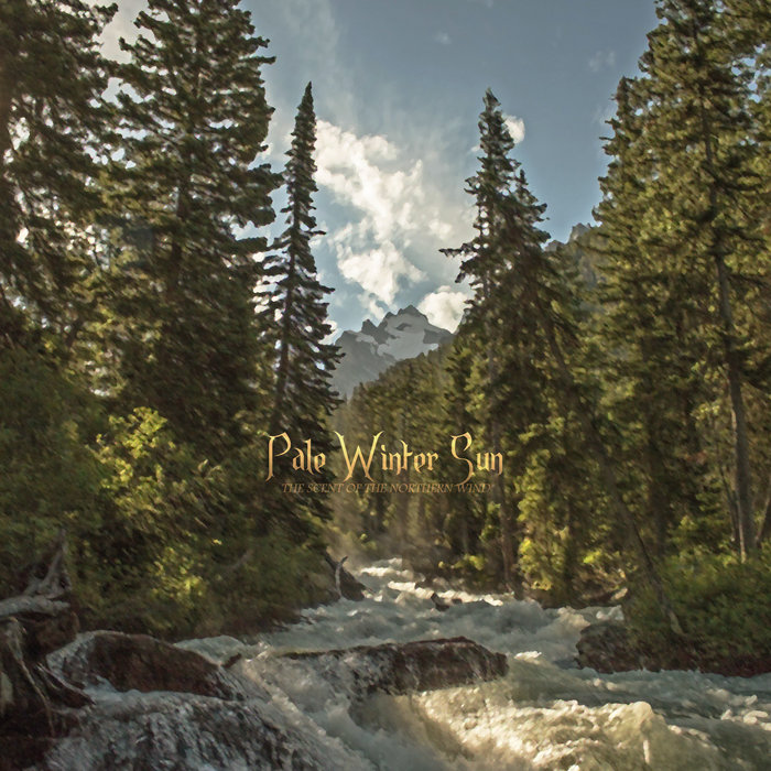 The Scent of the Northern Wind | Pale Winter Sun