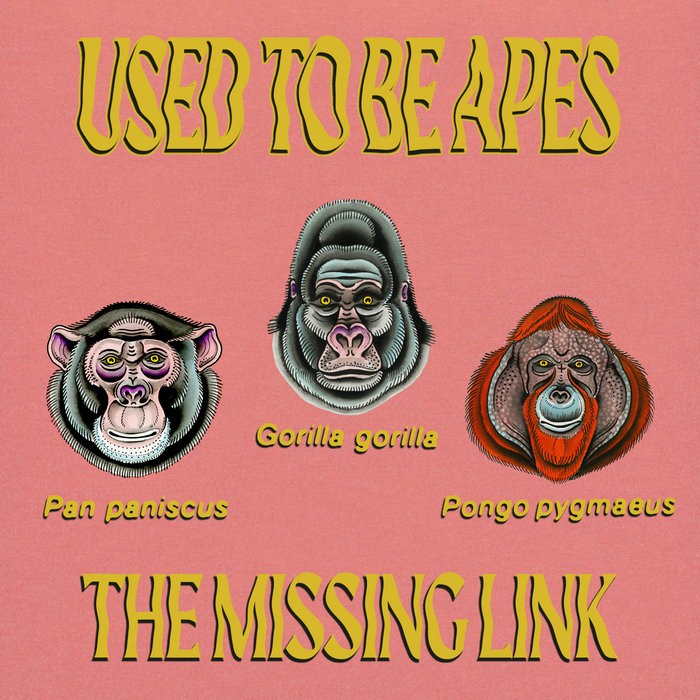 The Missing Link | Used To Be Apes