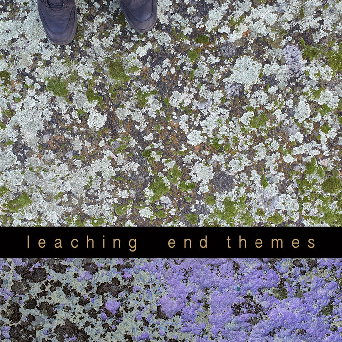 End Themes | Leaching