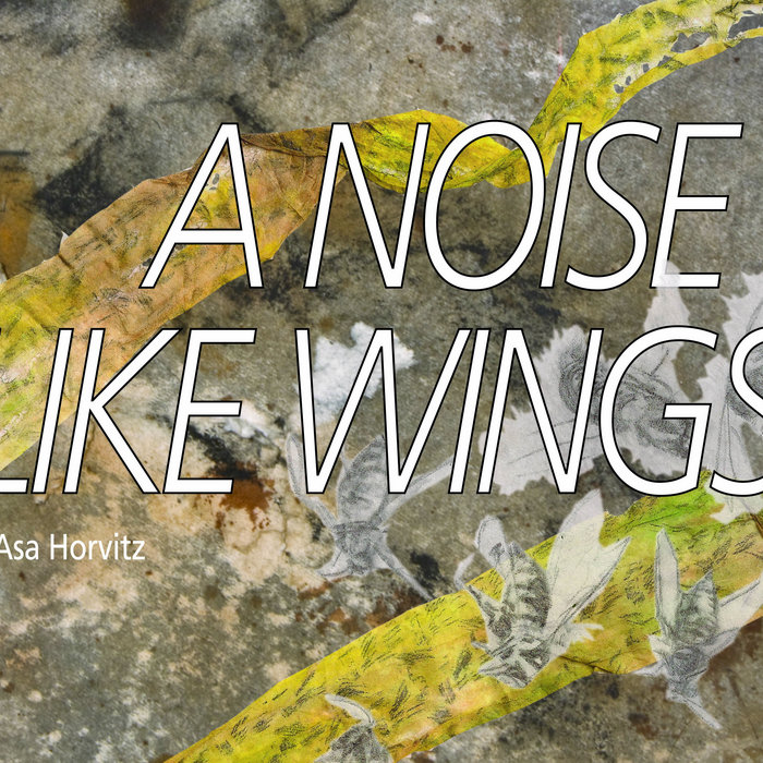 A Noise Like Wings | A Noise Like Wings