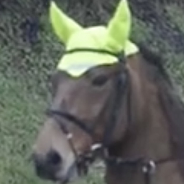 No worries if not | James Marrs