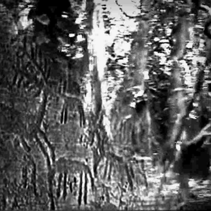 manuscript | false face | WillowPaths