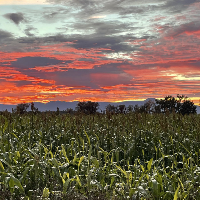 Basic Goodness | Austin Barney