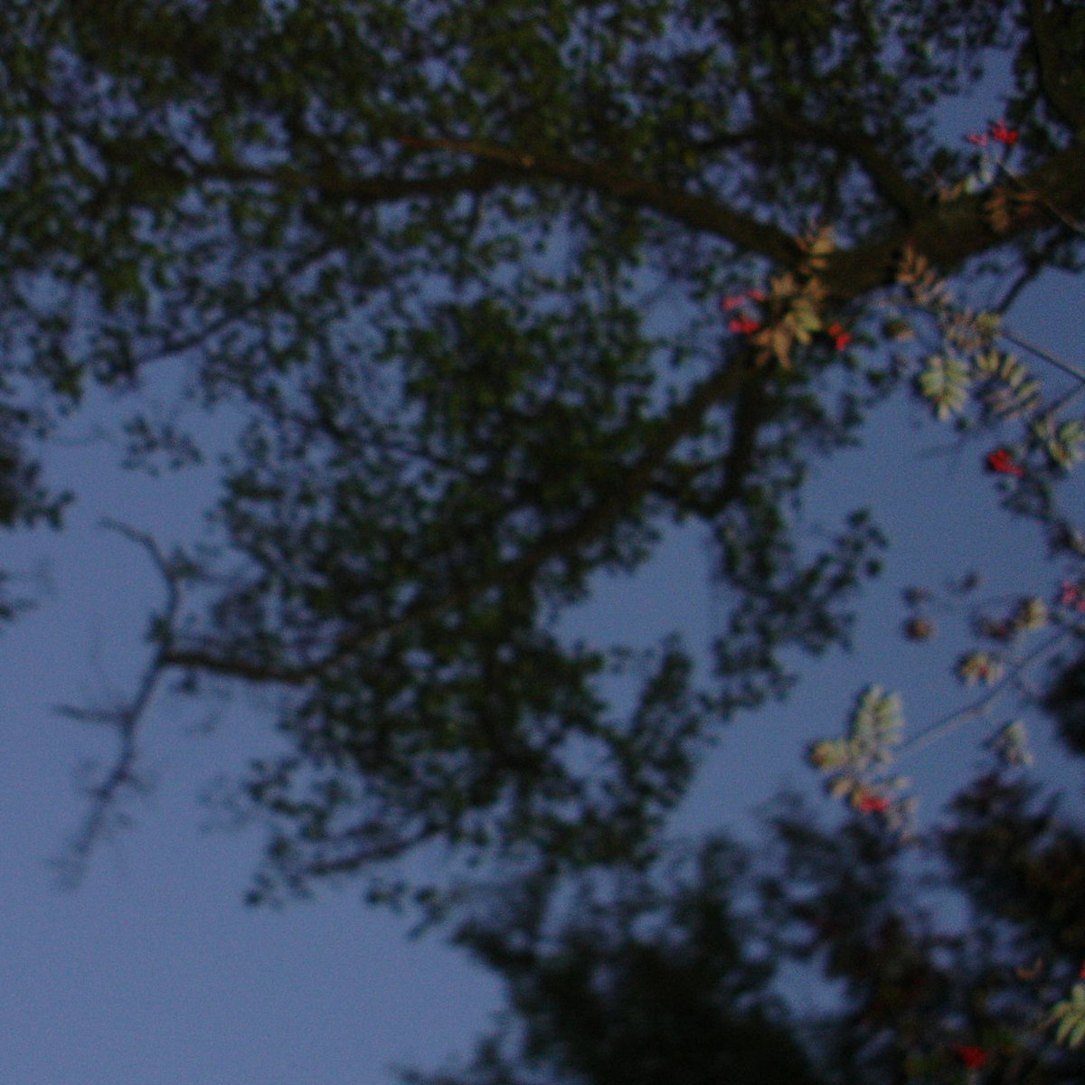 Smile On Sundays | YSO Blank