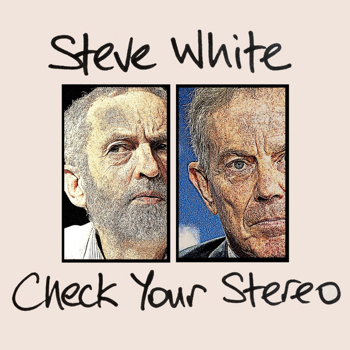 Check Your Stereo | Steve White | Steve White & The Protest Family