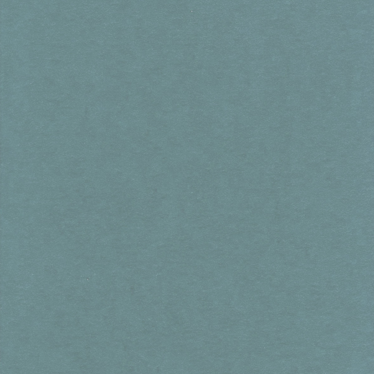 Jun.12.2023 (First time Flesh Vessel played Full band) | Peeves