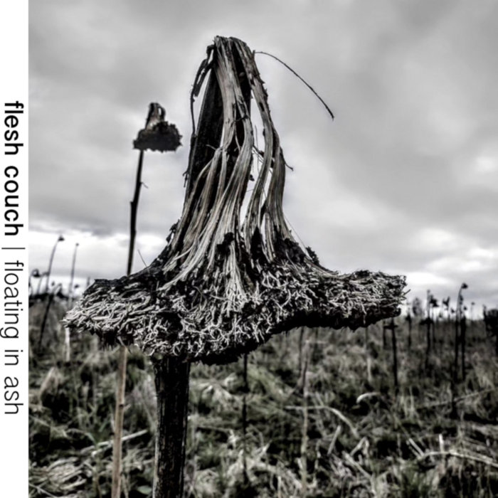 Floating In Ash | Flesh Couch