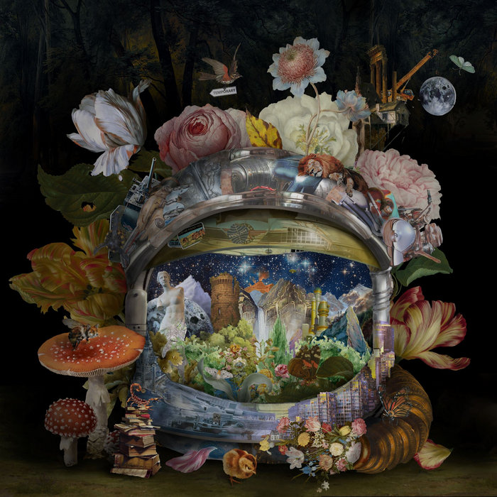 Glad We Found You | Violet Pilot