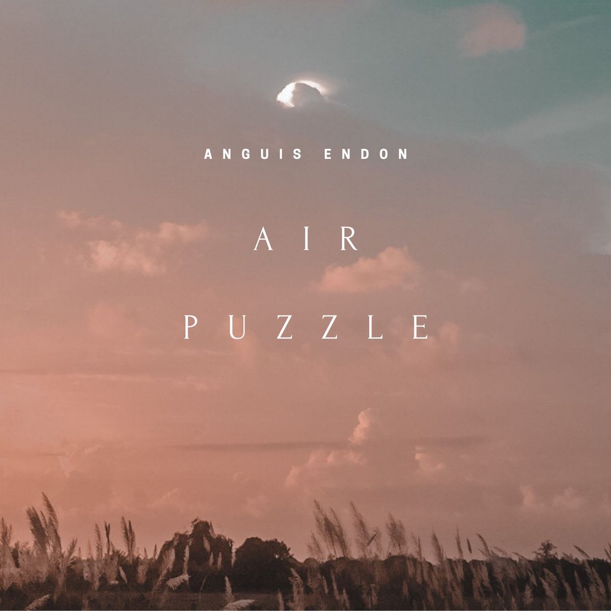 AIR PUZZLE | ANGUIS ENDON