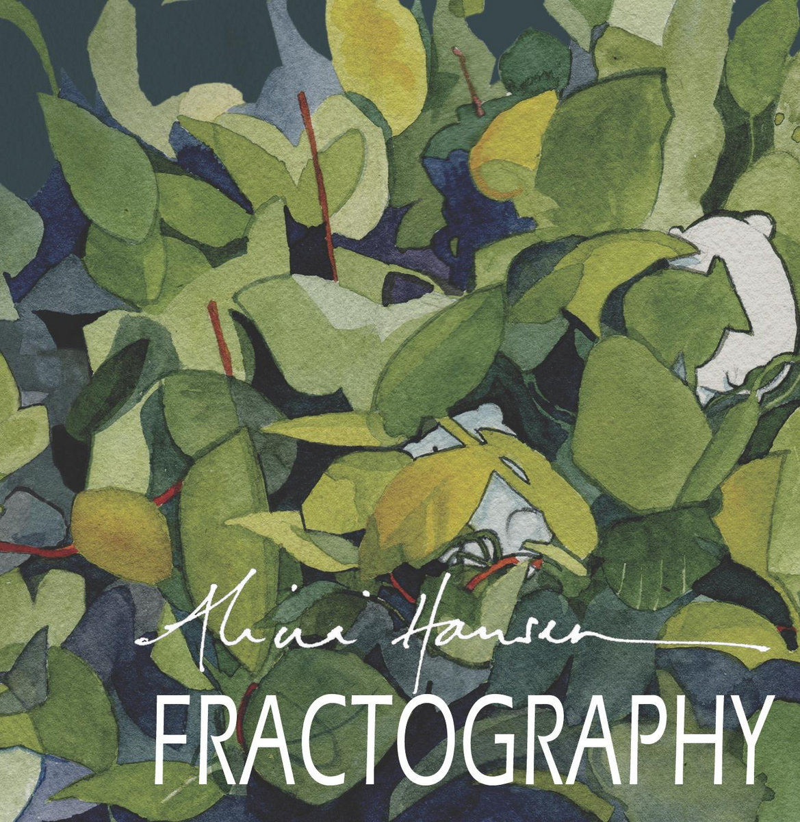 Fractography | Alicia Hansen