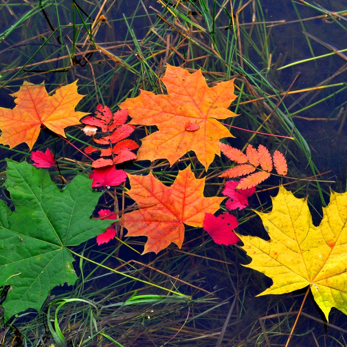 Remanso Vibes | Mario Pazos