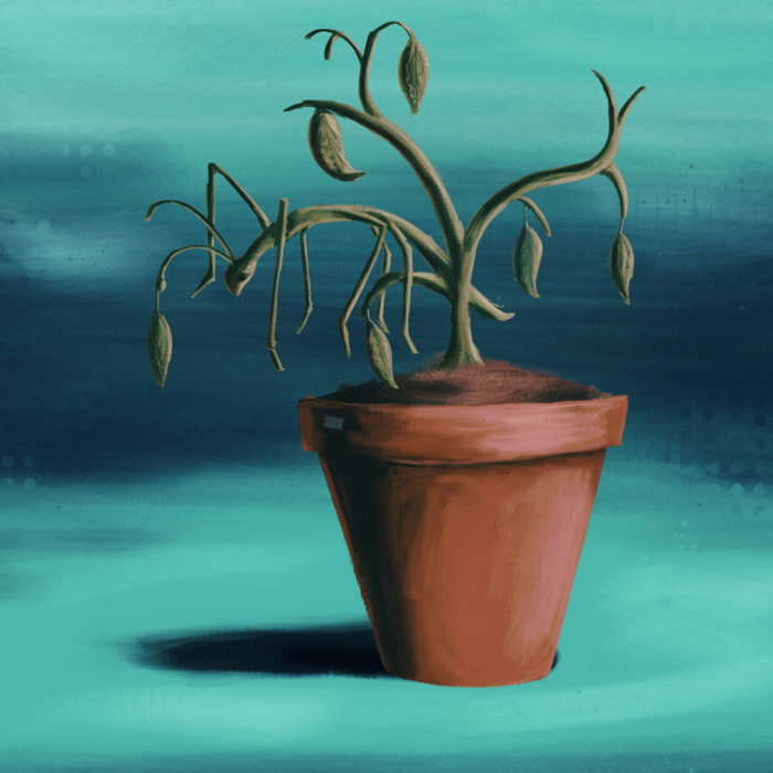 Adverb Preposition Article Noun Preposition Noun | The Reposters | Zenyx