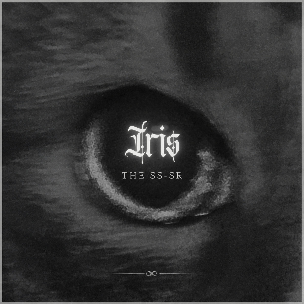 Iris (Goo Goo Dolls Cover) | The SS-SR