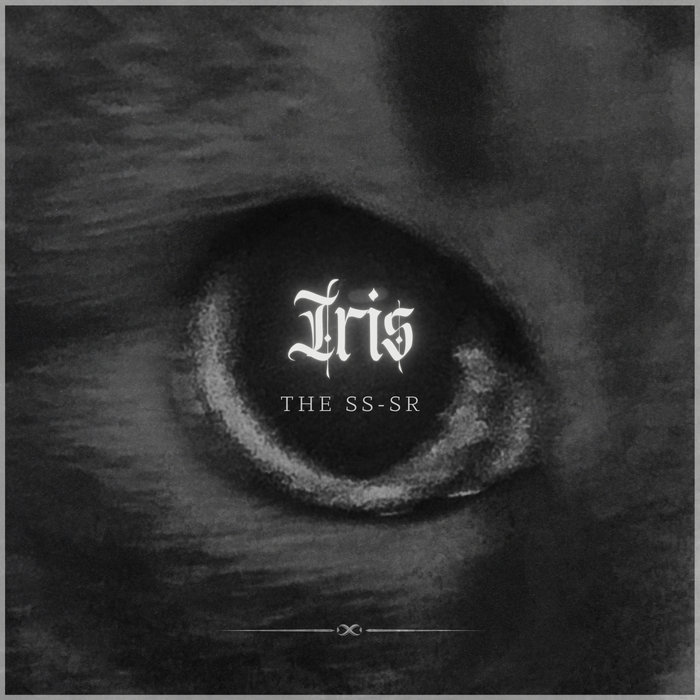 Iris (Goo Goo Dolls Cover) | The SS-SR