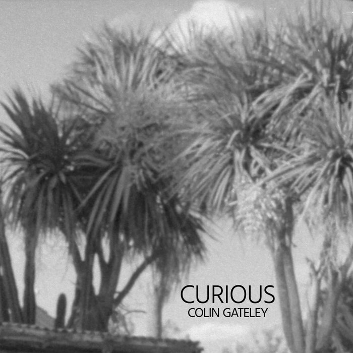 CURIOUS | Colin Gateley | Gateley & Taffe