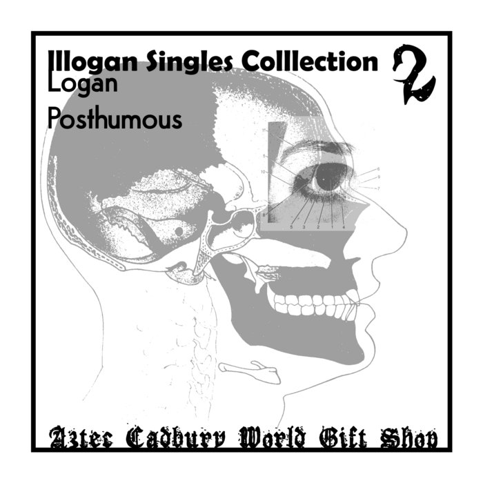 Aztec Cadbury World Gift Shop | Logan Posthumous | lllogan