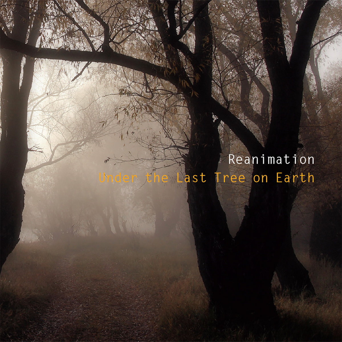 Under the Last Tree on Earth (2023 remaster) | Reanimation