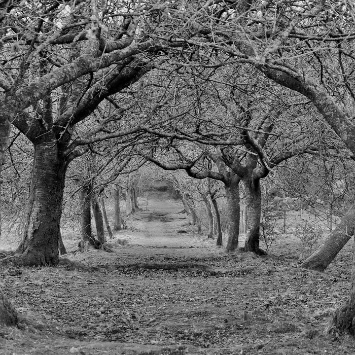 Approximate Maneuvers | Brian Abbott and Paul Newman | Paul Newman