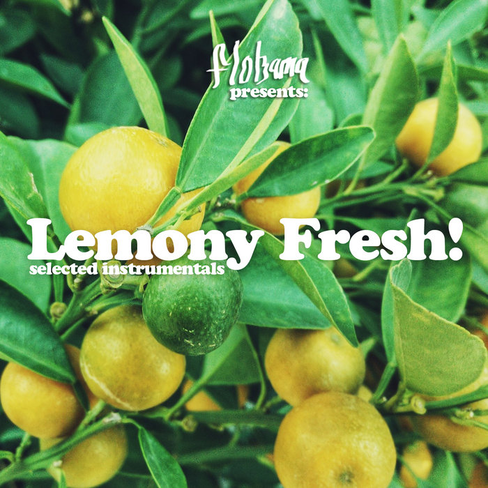 Lemony Fresh! | flobama