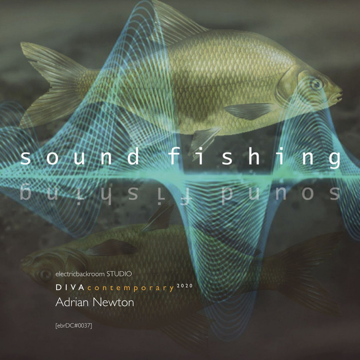 sound fishing | Adrian Newton | DIVAcontemporary