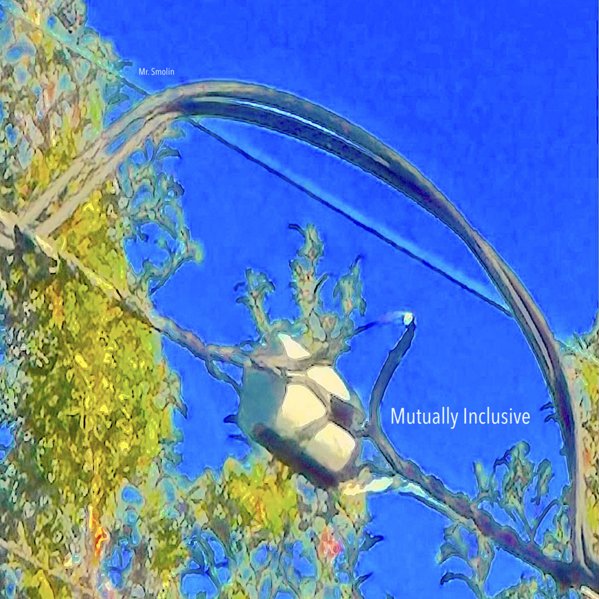 Mutually Inclusive | Mr. Smolin