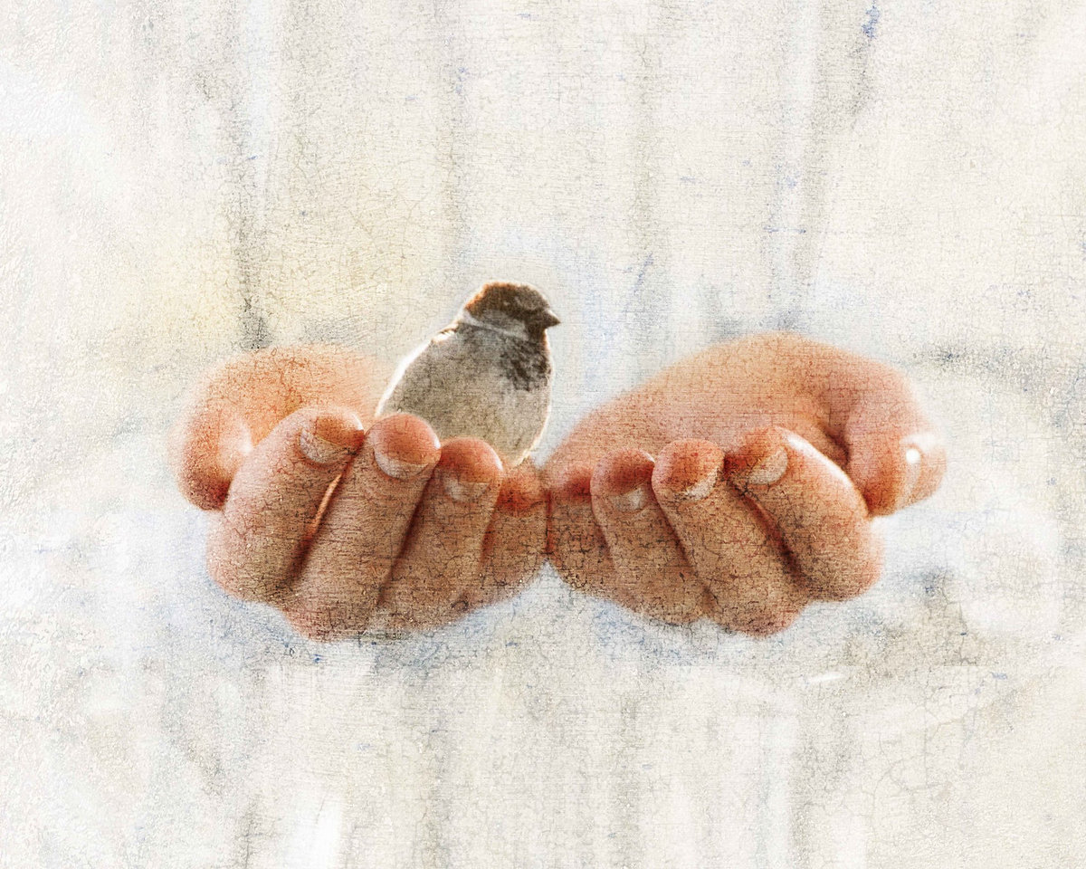 He Lives (Sheet Music-MP3-Instrumental Track) | Lisa Lakey Smith