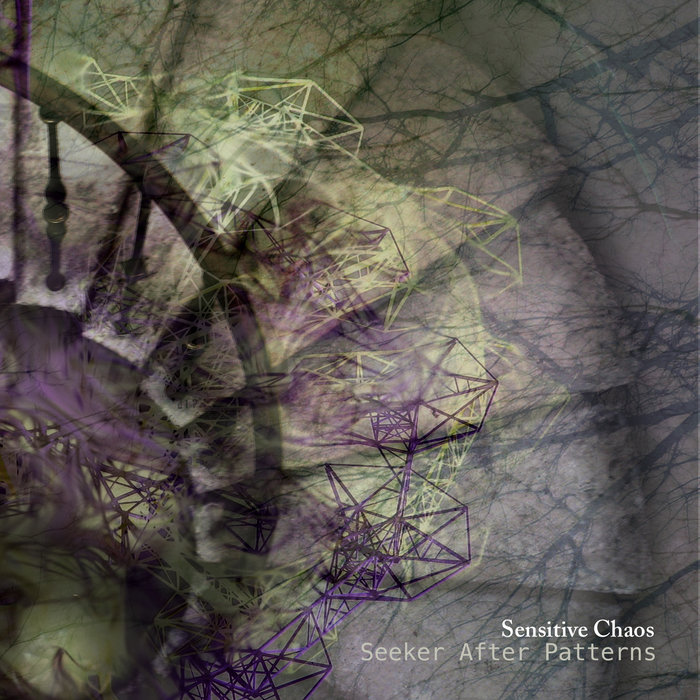 Seeker After Patterns | Sensitive Chaos