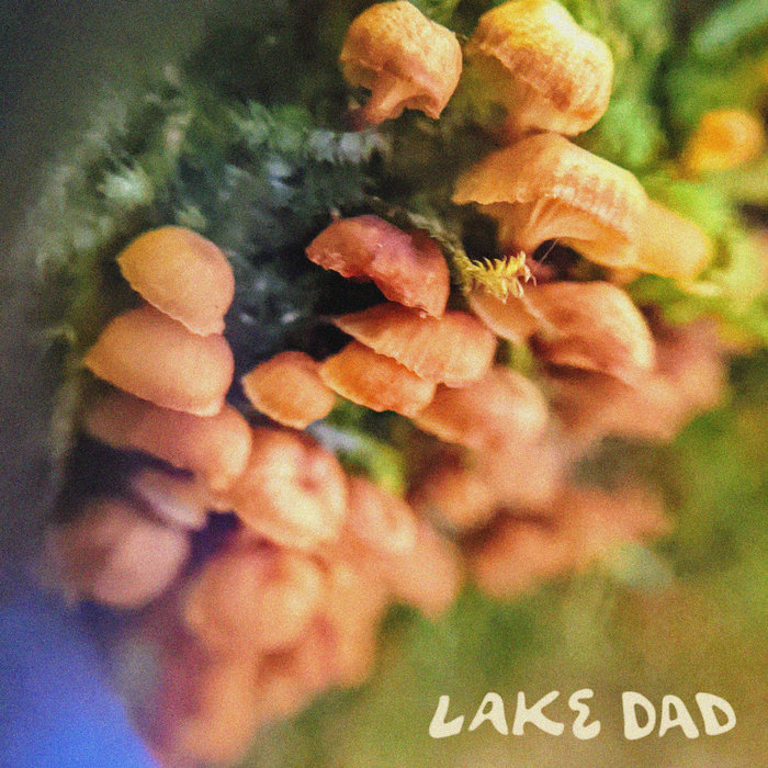Lake Dad | Lake Dad