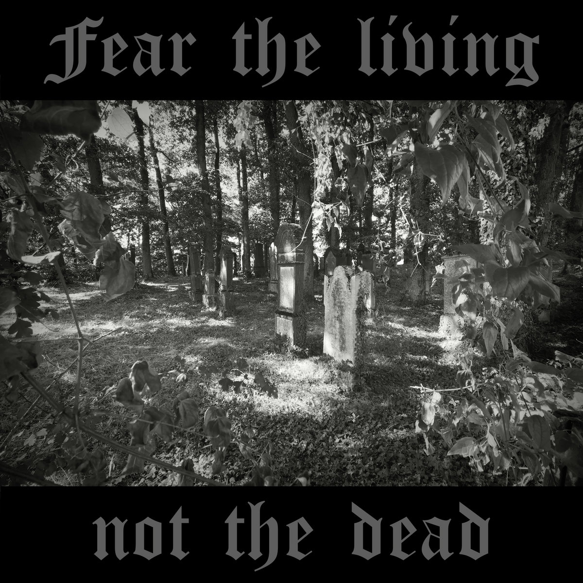 Fear The Living Not The Dead | Möth Visiön