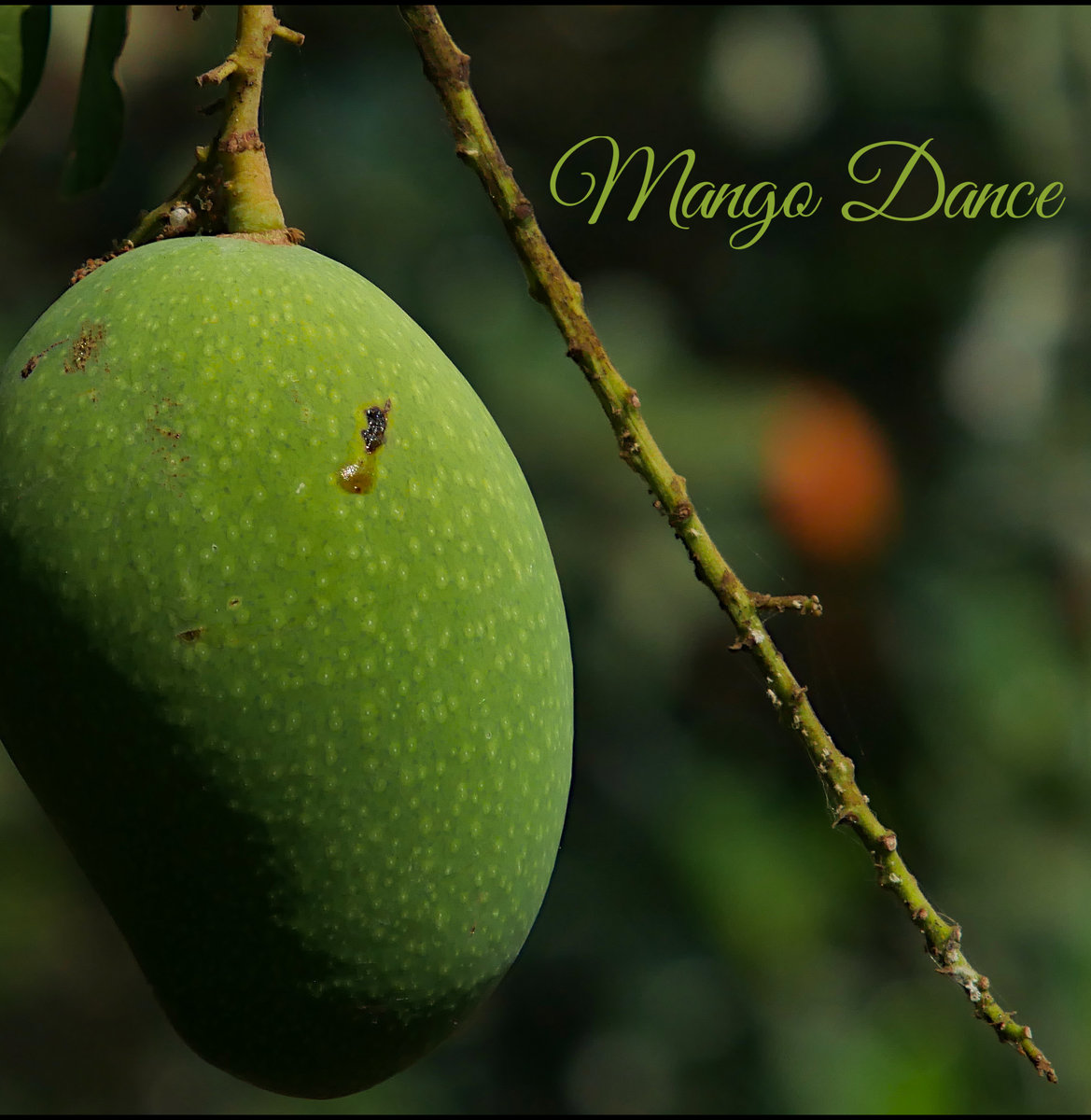 Mango Dance | Hans 'flo' Baier