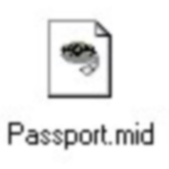 Passport, Please Remastered | Passport Designs | Nostalgi-master