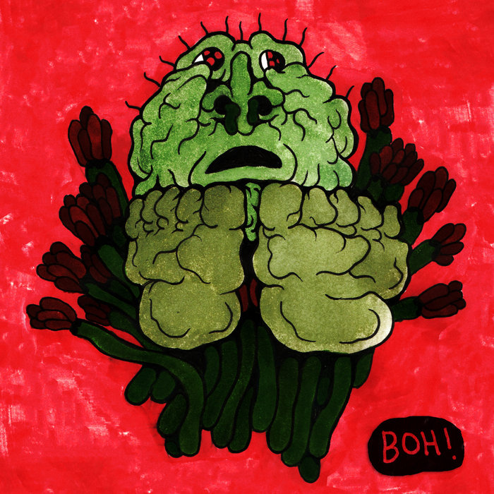 Russel Muscle | Butter Bean
