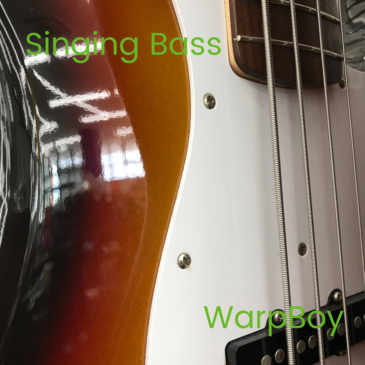 Singing Bass | WarpBoy