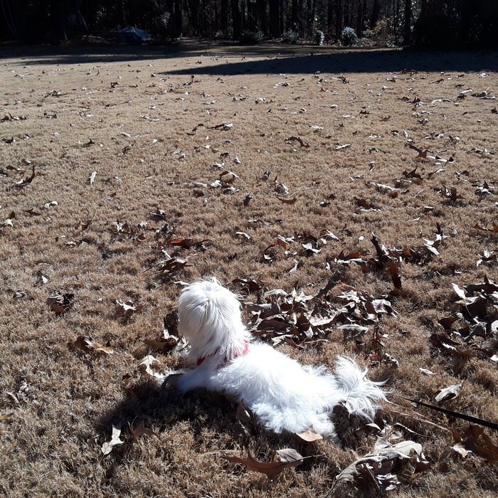 Echoes | Jordan Spivack