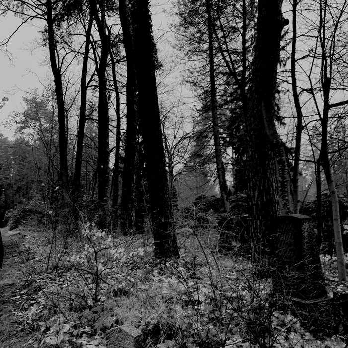 Autumnal Mould | Veil of Ash | breathsunboneblood