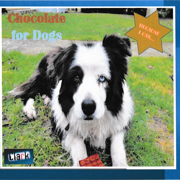 Chocolate for Dogs | Clark, 2022 | clark