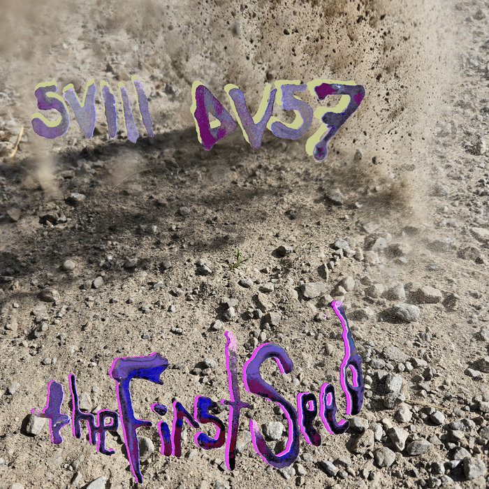 5V111 DV57 | The First Seed