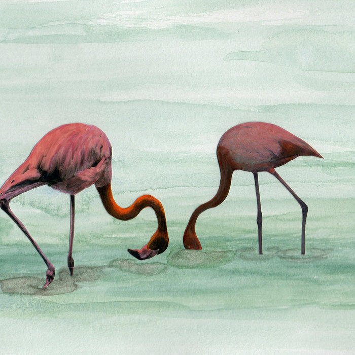 Two Flamingos EP | Andrew Taylor