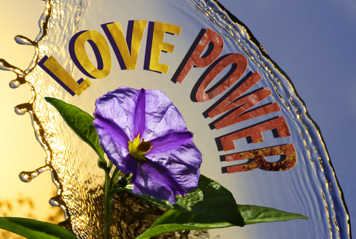 IS Music | "Leaf" Clive "Nasser" Phillips | “Leaf” Clive “Nasser” Phillips