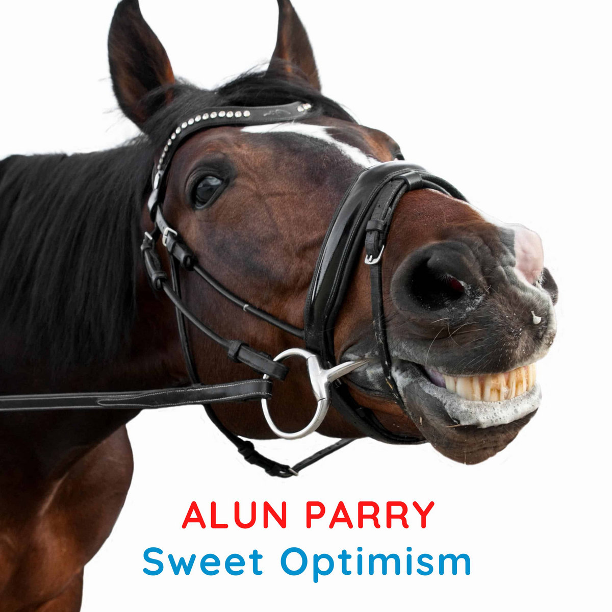 Sweet Optimism | Alun Parry