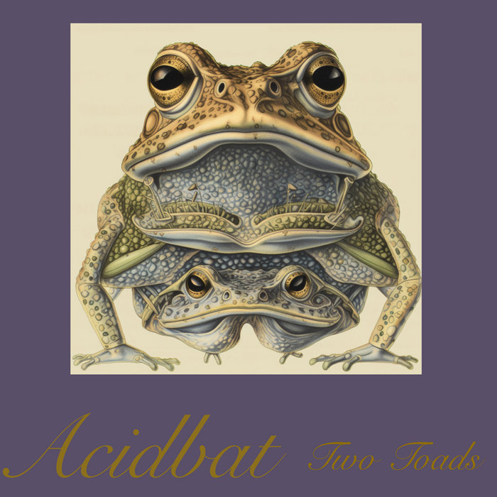 Two Toads | Acidbat