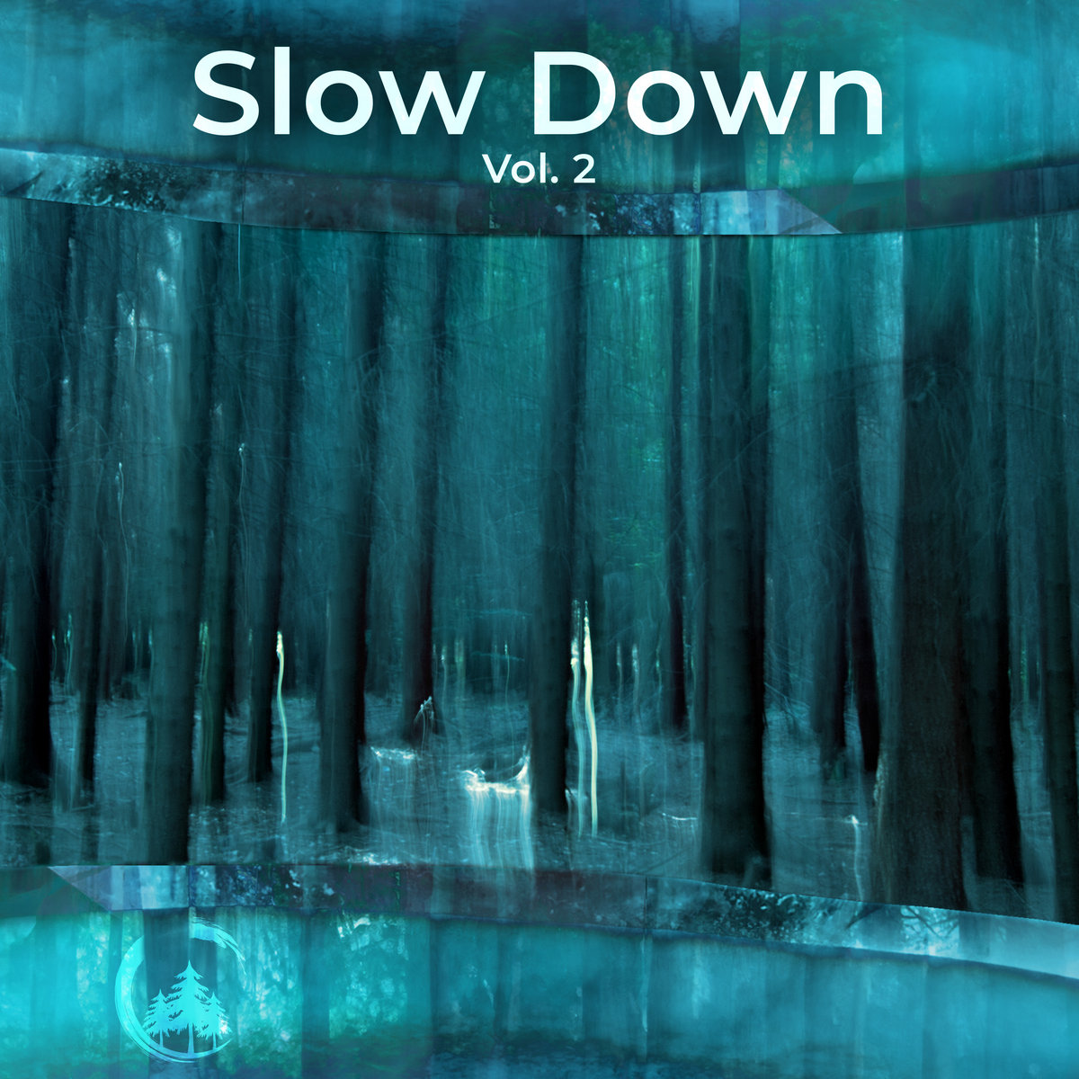 Slow Down Vol. 2 | Various Artists | Valley View Records