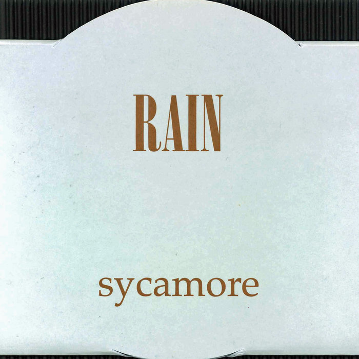 Sycamore | Rain | Eye