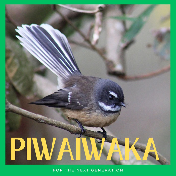 Piwaiwaka | Kyra