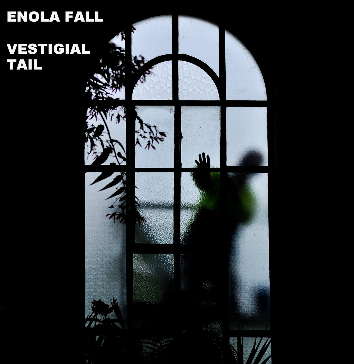 Vestigial Tail | Enola Fall