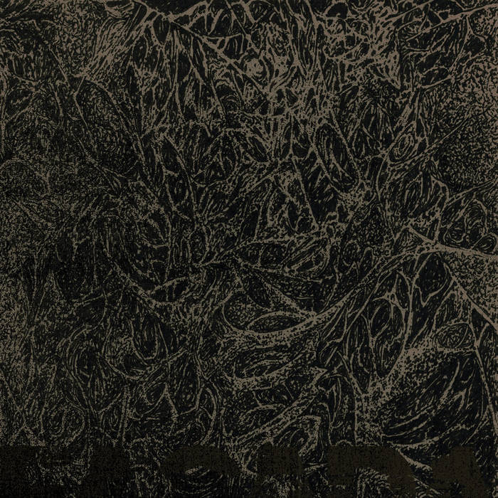 Sangrando concreto | FACADA | Black Hole Productions