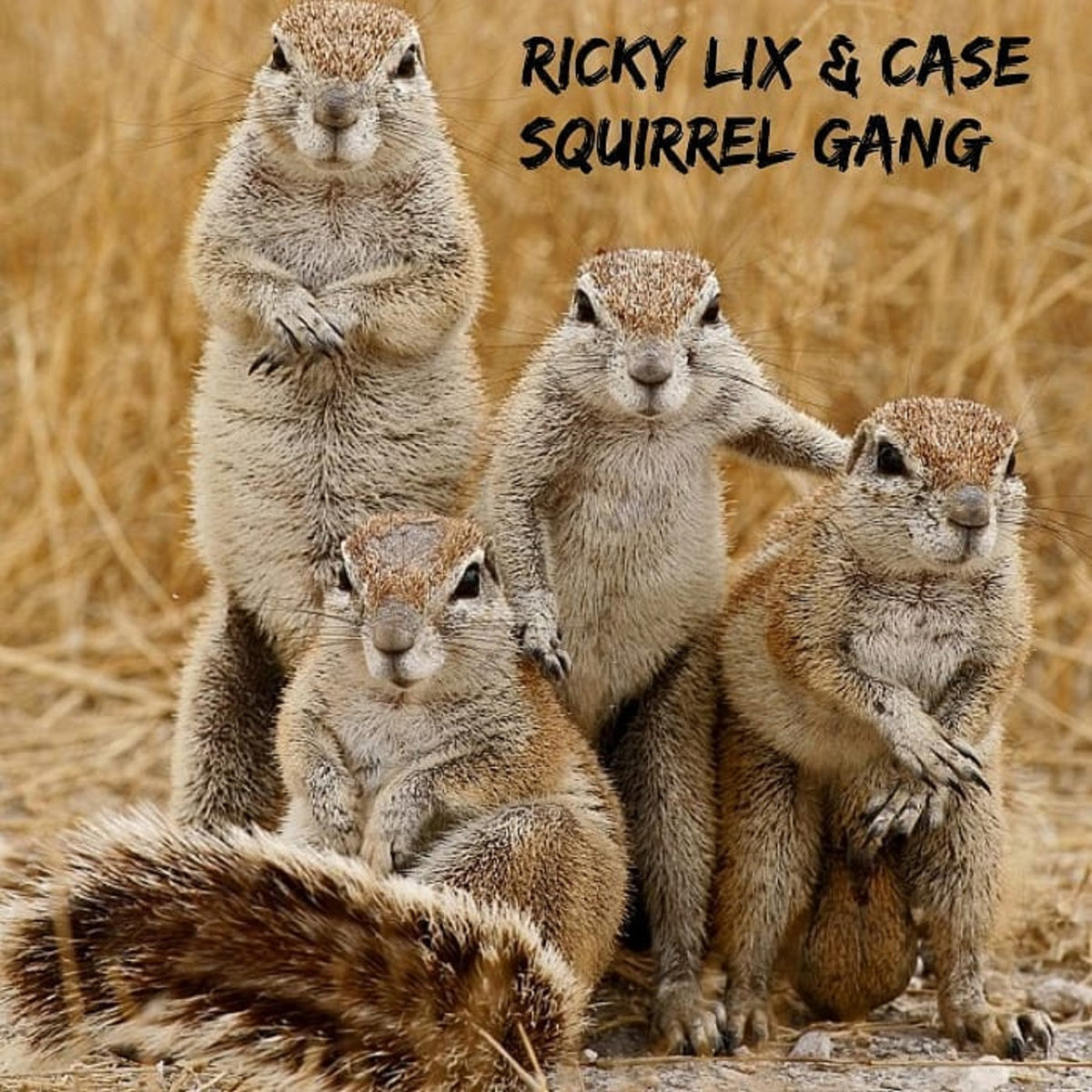 Squirrel Gang | Ricky Lix & Case | Ricky Lix