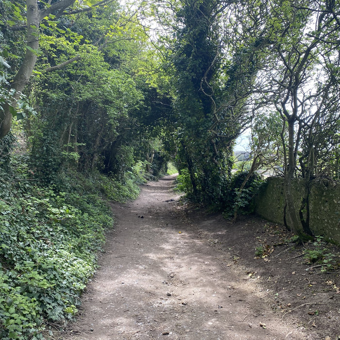 King Arthur Walks in Rottingdean | Betty Accorsi Quartet