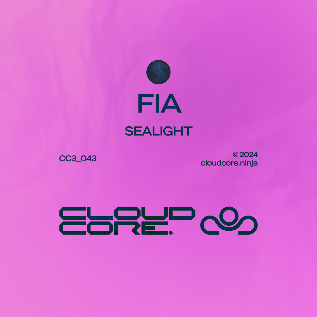 sealight | fia | CloudCore